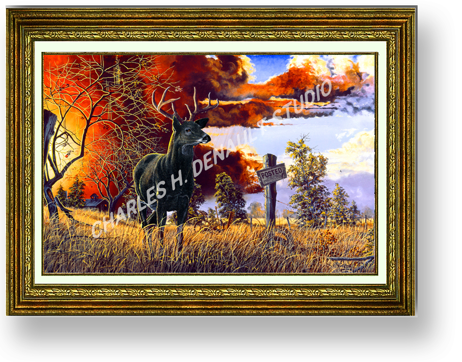 AUTUMN STORM – Chuck Denault Sr.