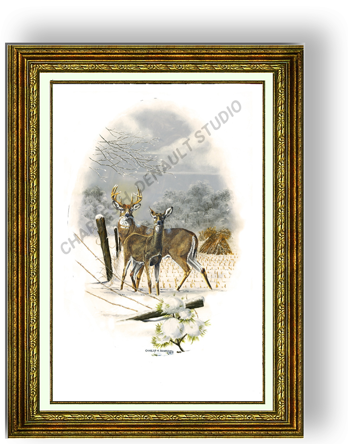 AW-Shucks – Chuck Denault Sr.