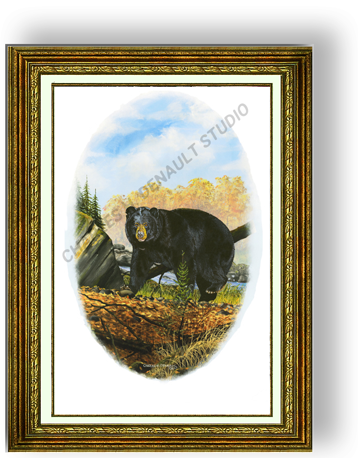 BLACK GOLD – Chuck Denault Sr.