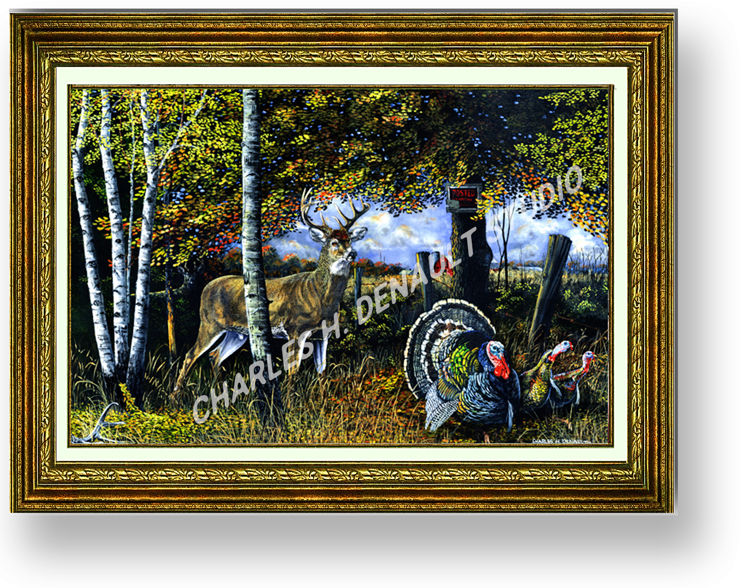 FULL HOUSE – Chuck Denault Sr.